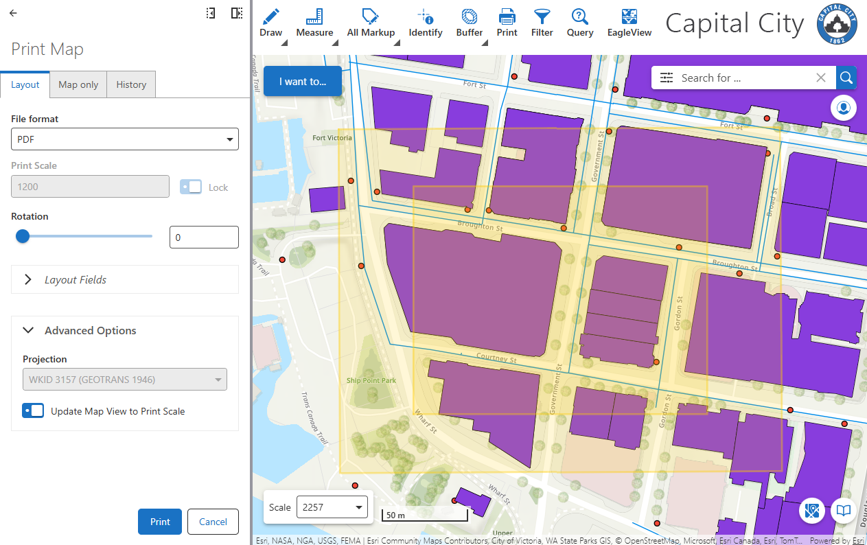 How to display the real-world scale value when printing Web Mercator maps using the VertiGIS ...